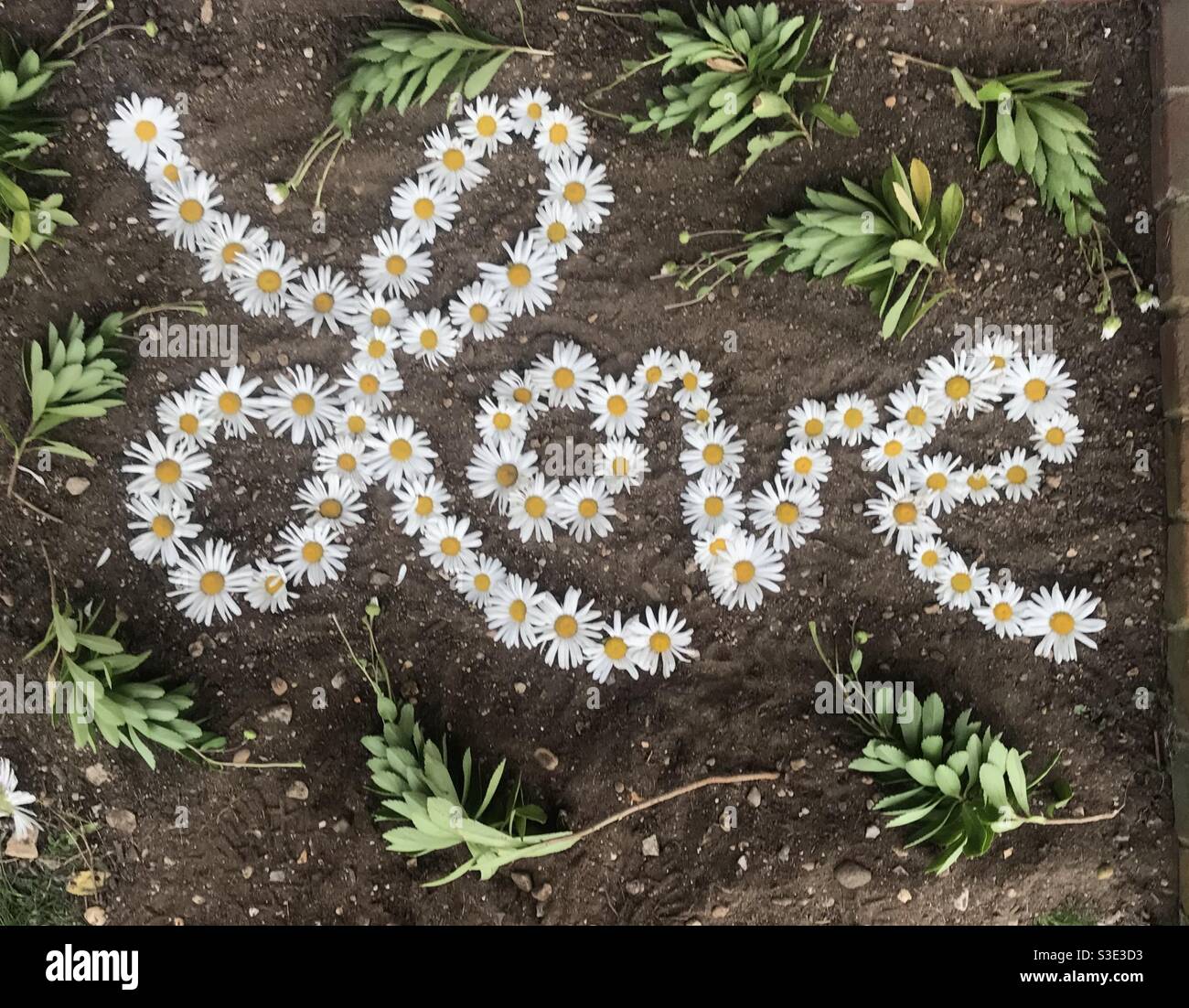 Natures flowers hi-res stock photography and images - Alamy