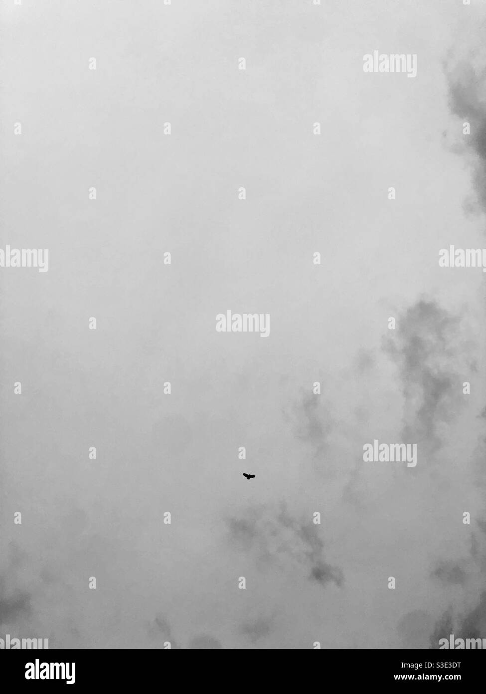 Lets fly up hi-res stock photography and images - Alamy