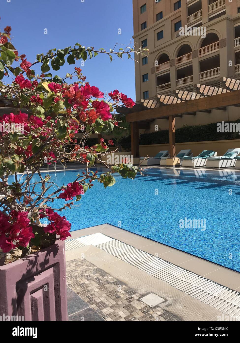 Outdoor pool area of a luxury apartment complex on the artificial ...