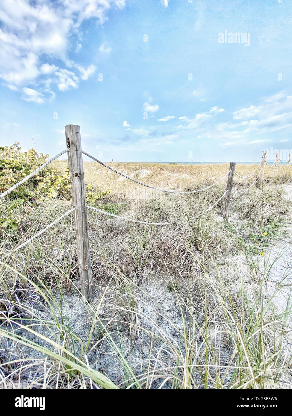Rope grass hi-res stock photography and images - Alamy