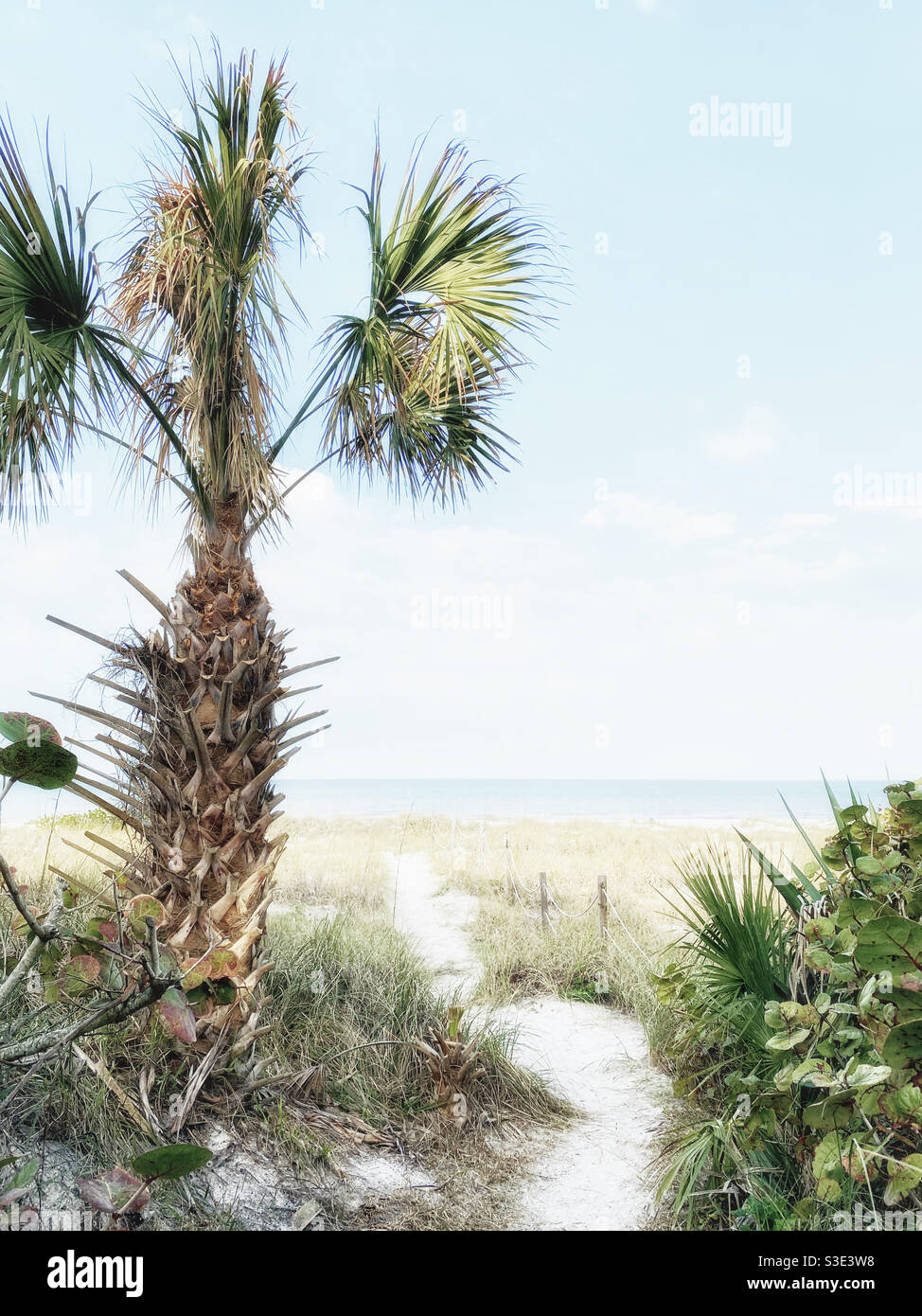 Sandy pathway to beach Stock Photo - Alamy