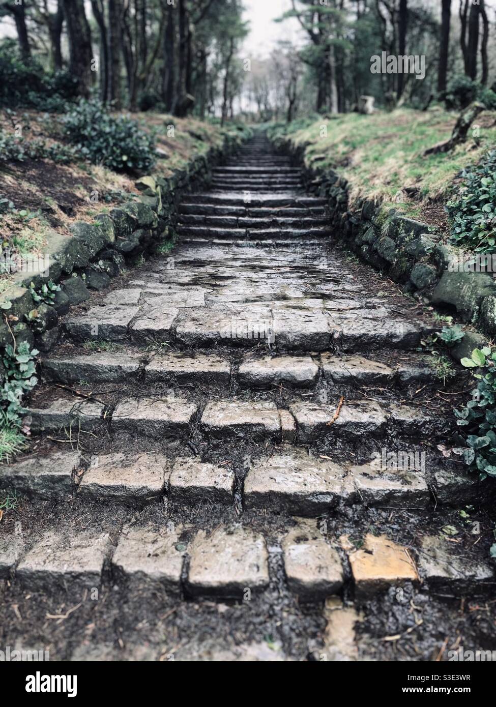 Steps paths hi-res stock photography and images - Alamy