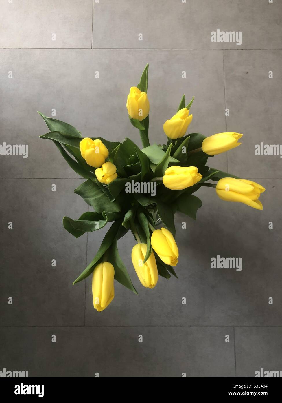 Yellow tulips in a vase seen from above Stock Photo - Alamy