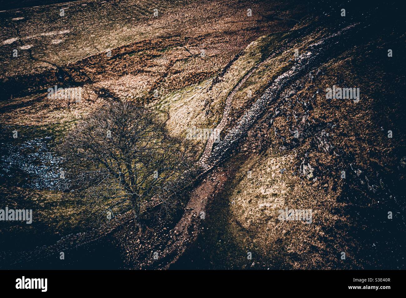 Aerial view of Sycamore Gap in Northumberland, UK Stock Photo - Alamy
