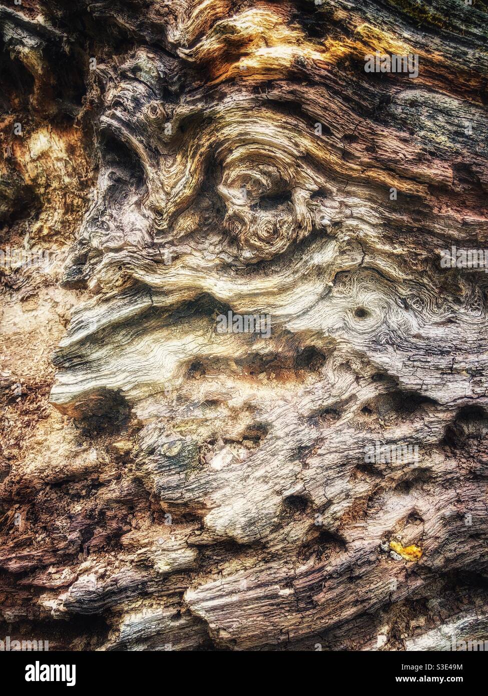 Ancient protection hi-res stock photography and images - Alamy