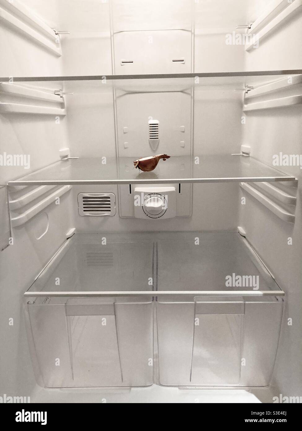 Half an onion in an empty open fridge/ refrigerator Stock Photo - Alamy