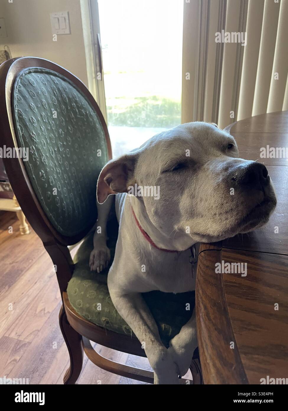 Luna girl hi-res stock photography and images - Alamy