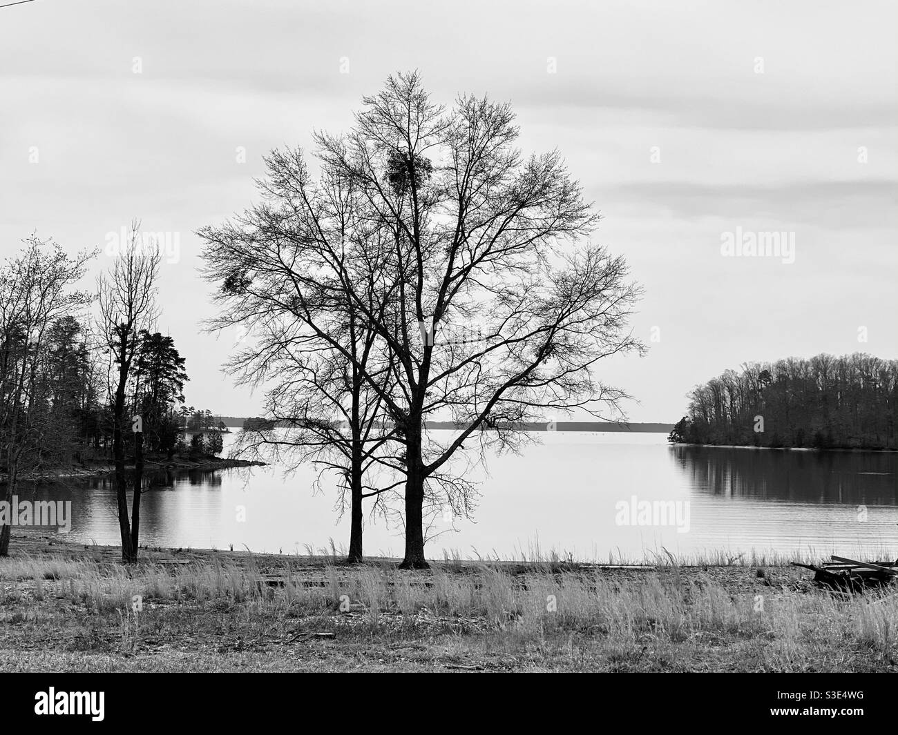 History Of Starr Sc at Julie Solberg blog