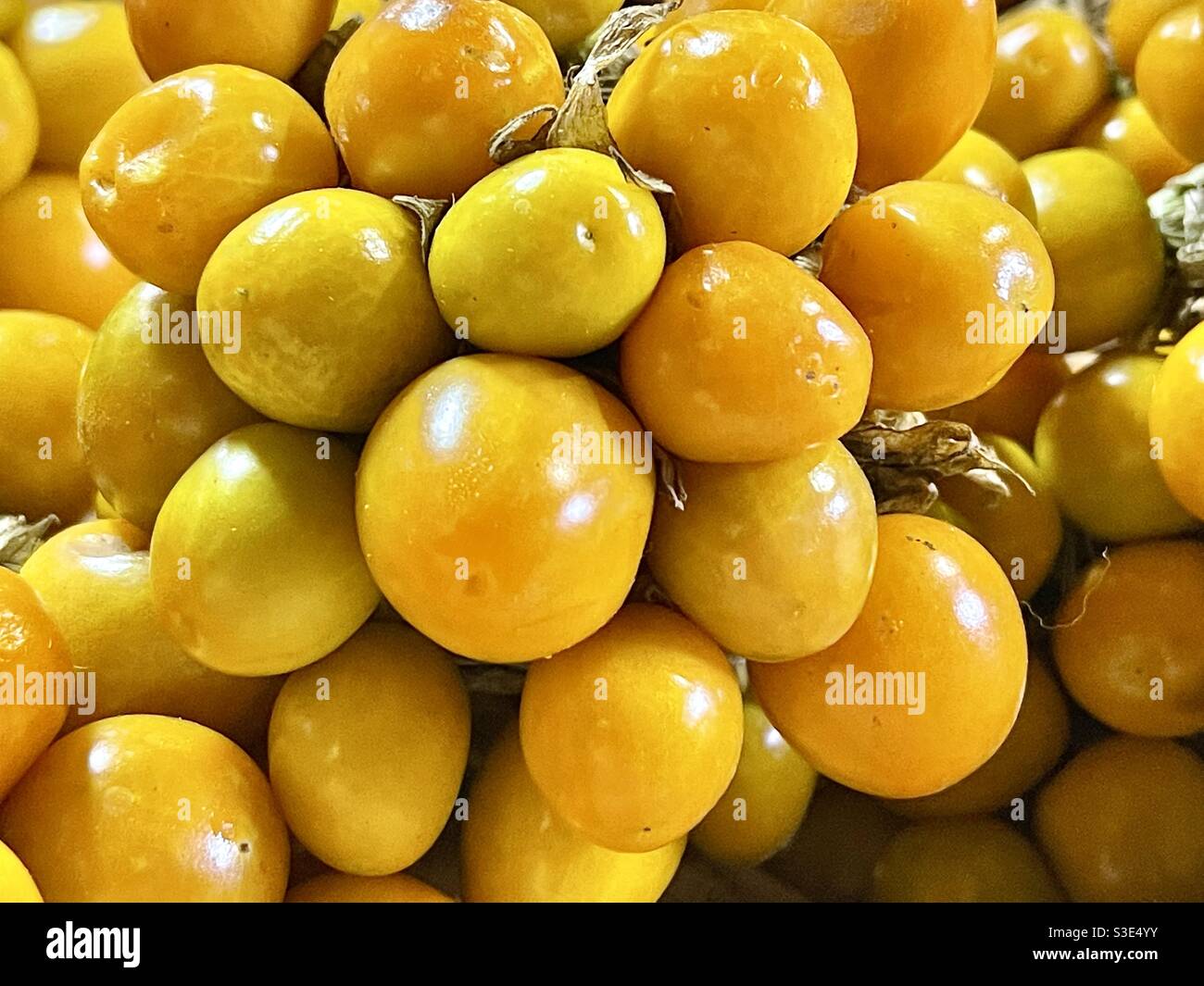 Goldenberry hi-res stock photography and images - Alamy