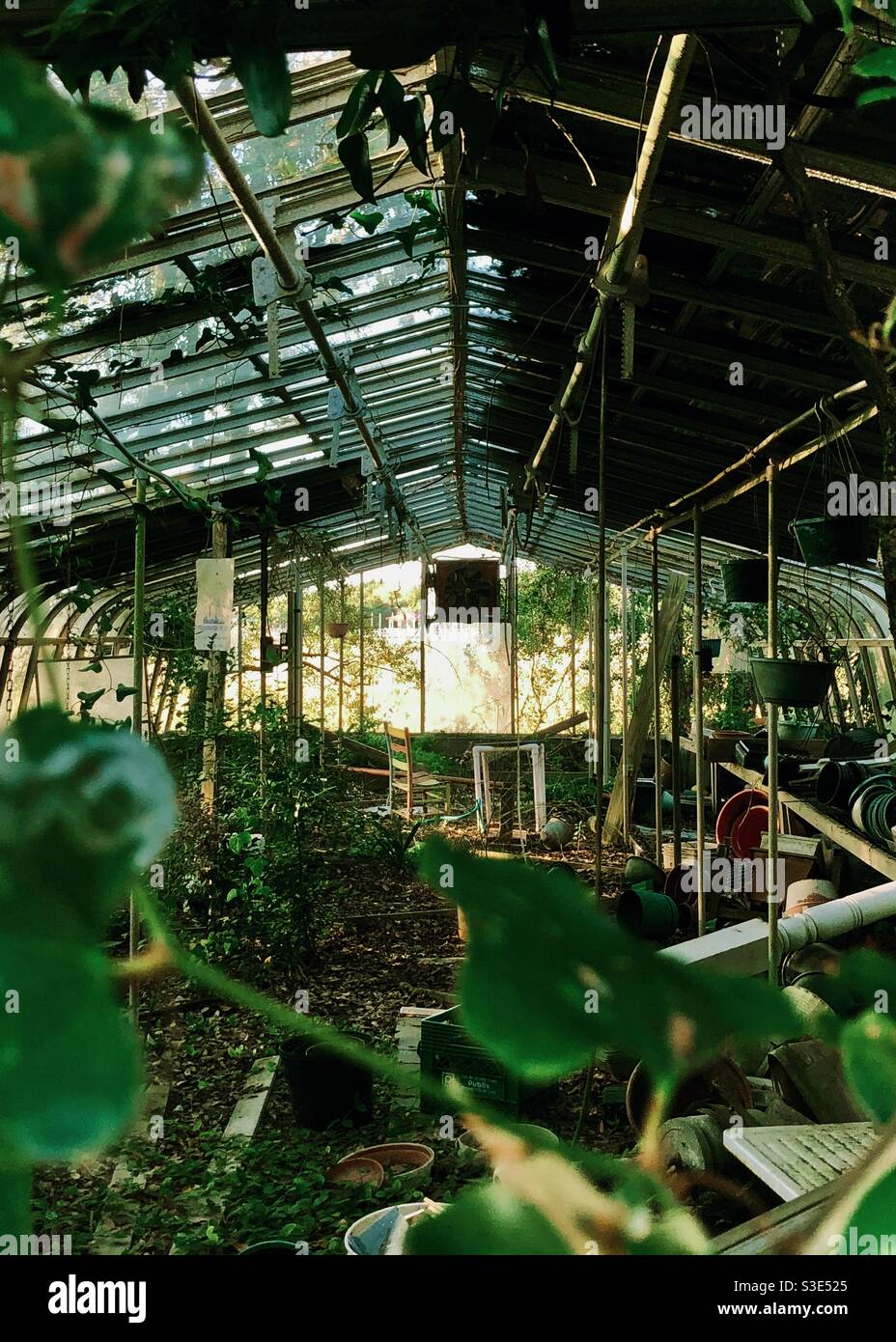 Overgrown greenhouse hi-res stock photography and images - Alamy