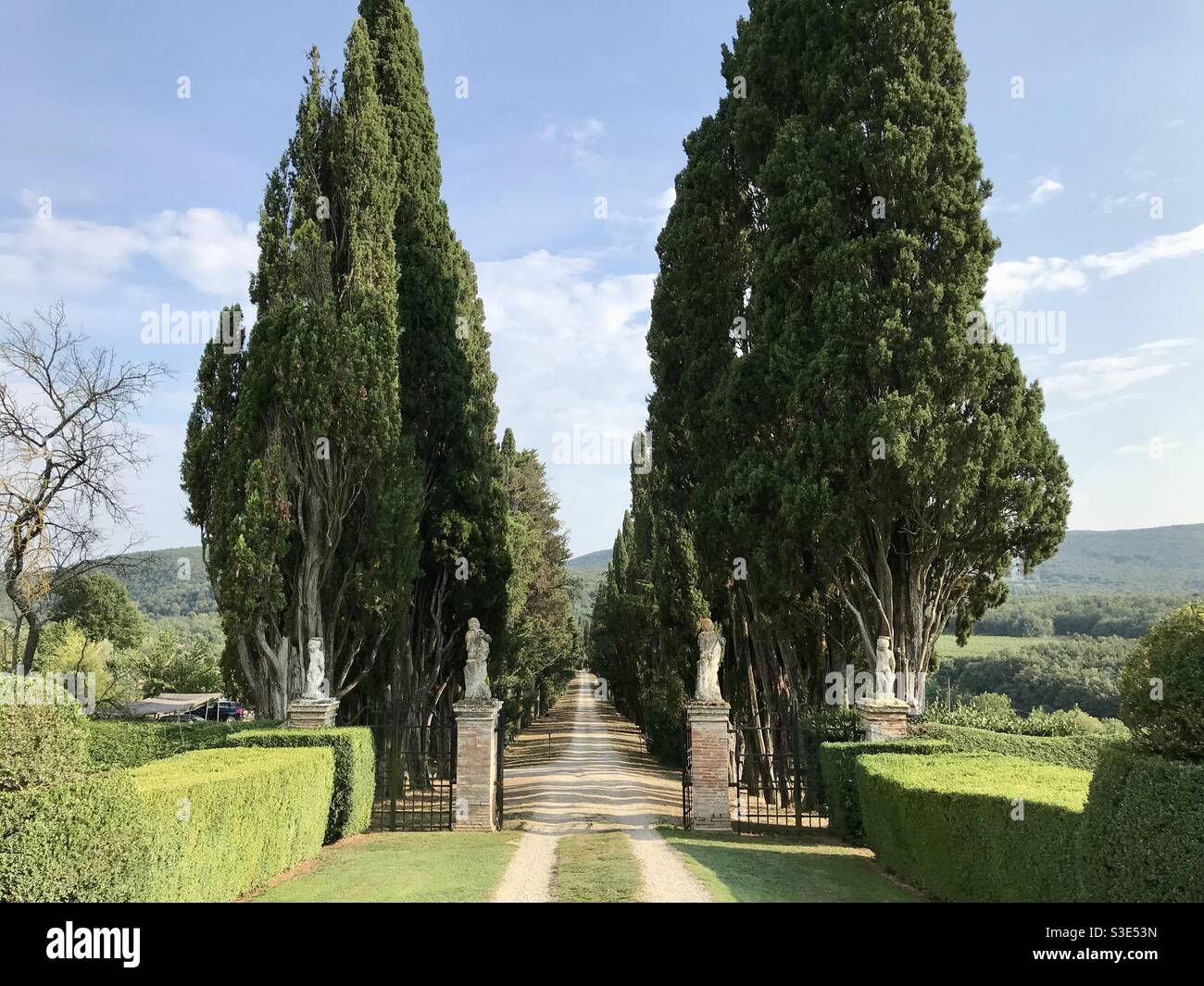 Treelined driveway hi-res stock photography and images - Alamy