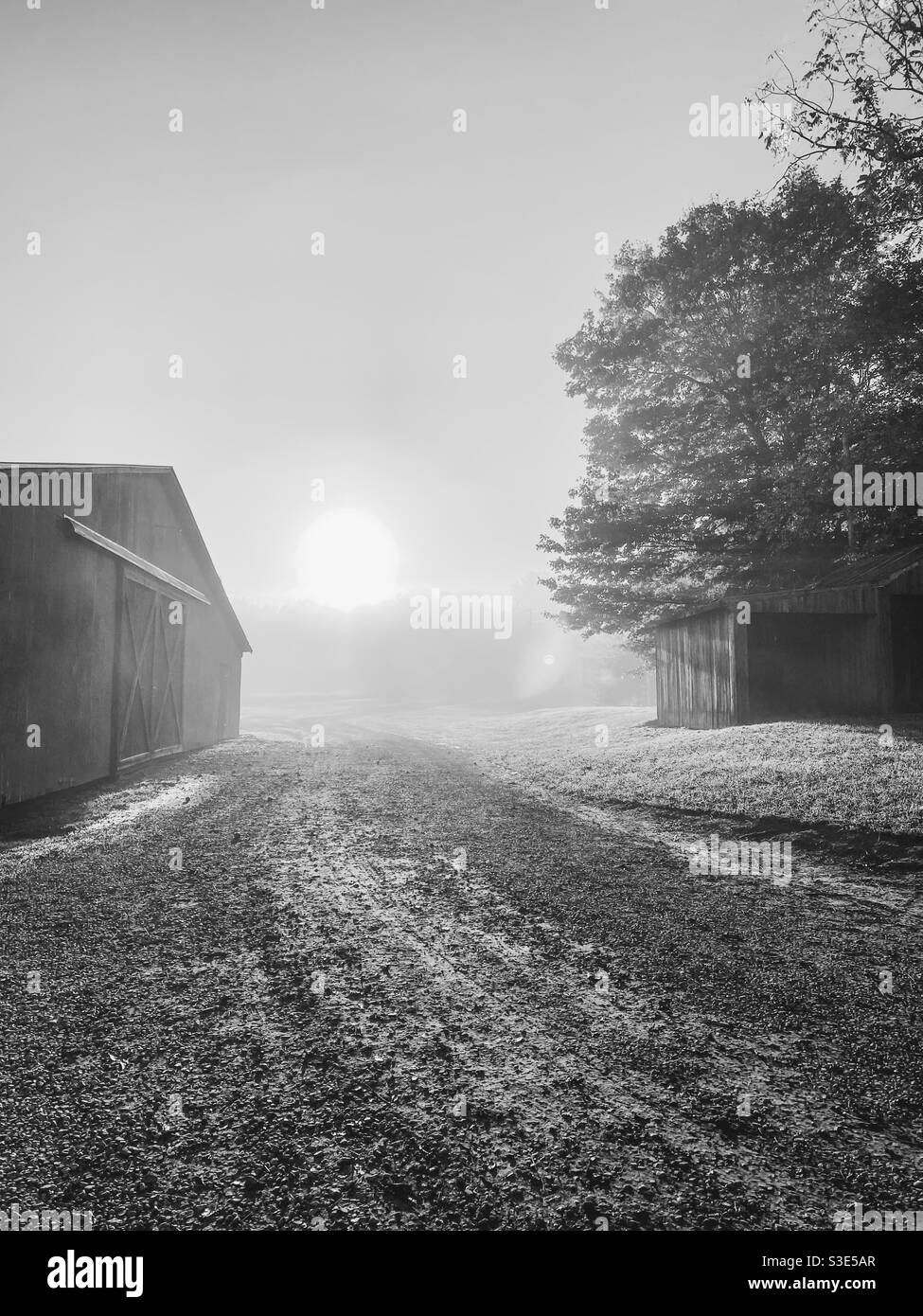 Farm sunrise hi-res stock photography and images - Alamy