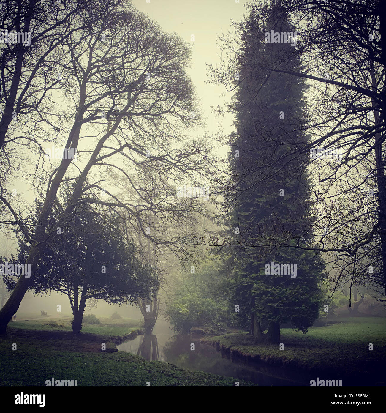 Serpentine Tree High Resolution Stock Photography and Images - Alamy