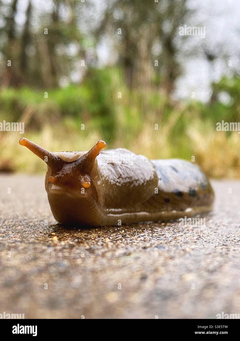Wet sidewalk hi-res stock photography and images - Alamy