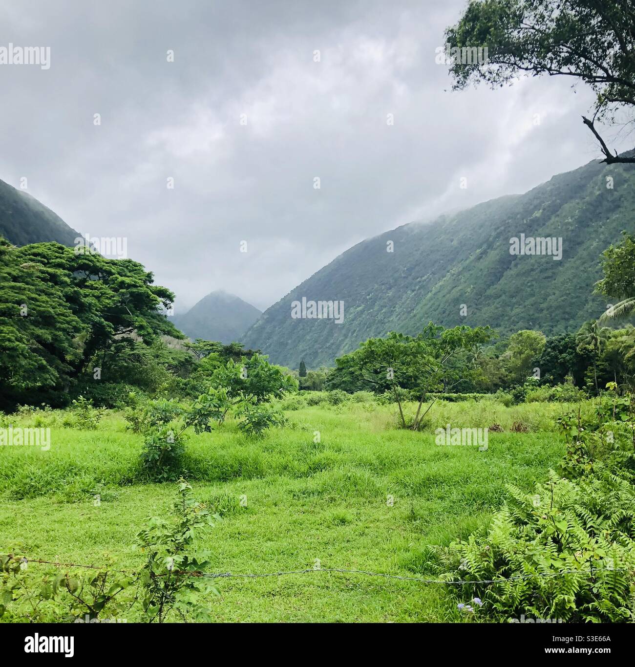 Honokaa hi-res stock photography and images - Alamy