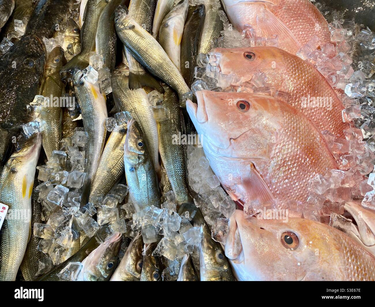 Ice seafood hi-res stock photography and images - Alamy