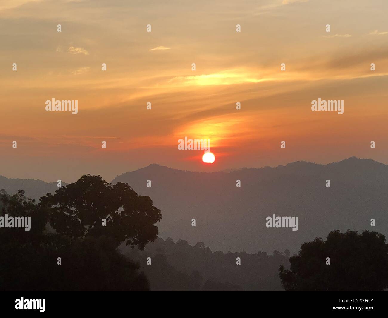 Morning jungle hi-res stock photography and images - Alamy