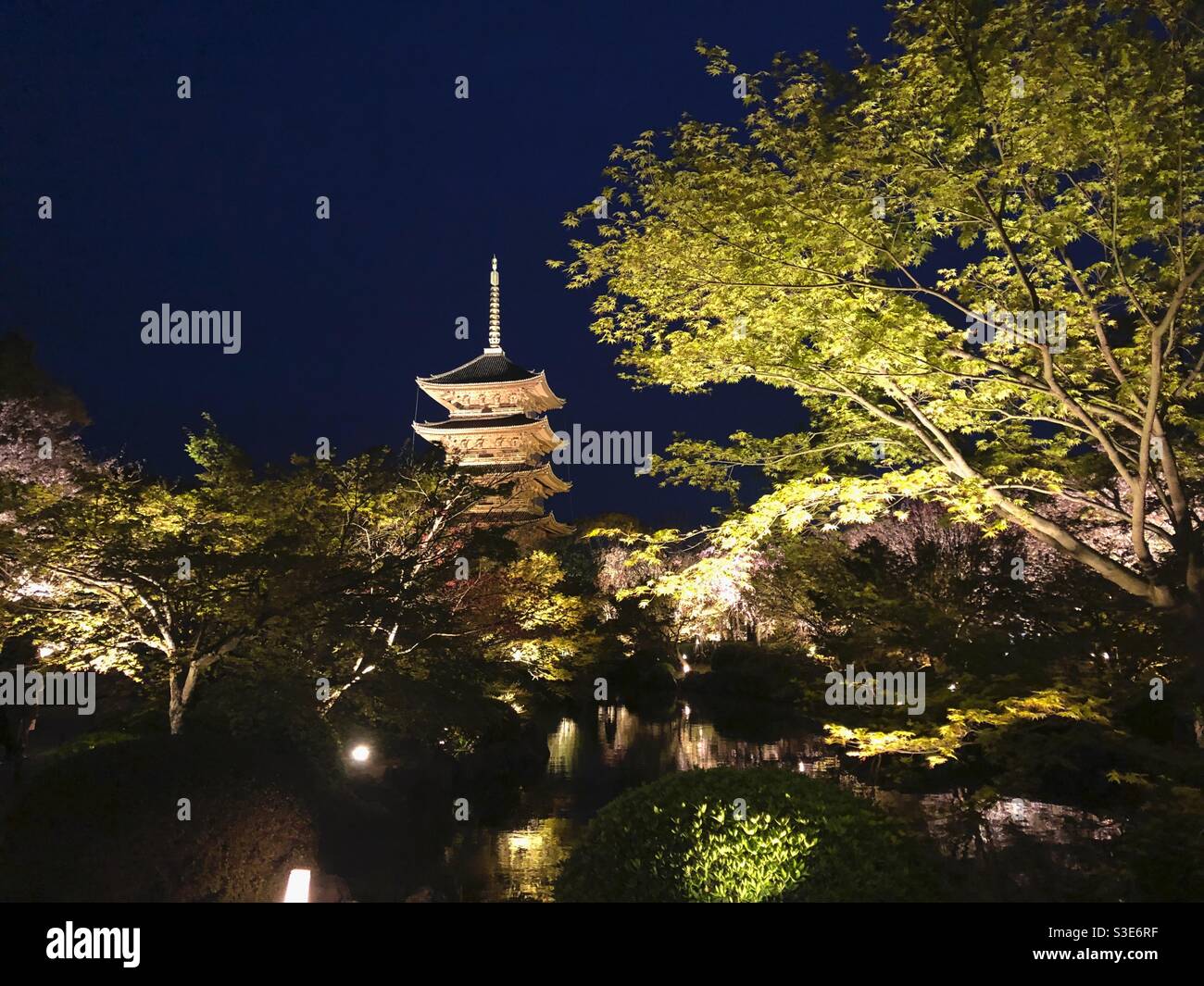 Night trees and pond view with Toji Pagoda in Kyoto, the tallest wooden ...