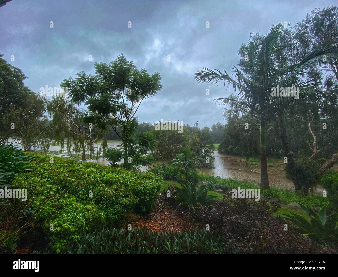 Robina gold coast hi-res stock photography and images - Alamy