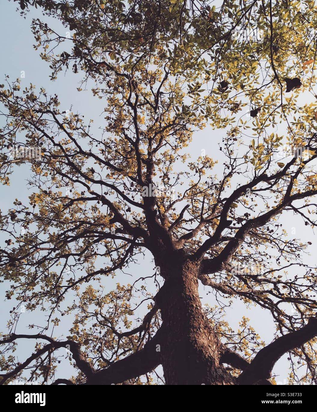 Lavel hi-res stock photography and images - Alamy