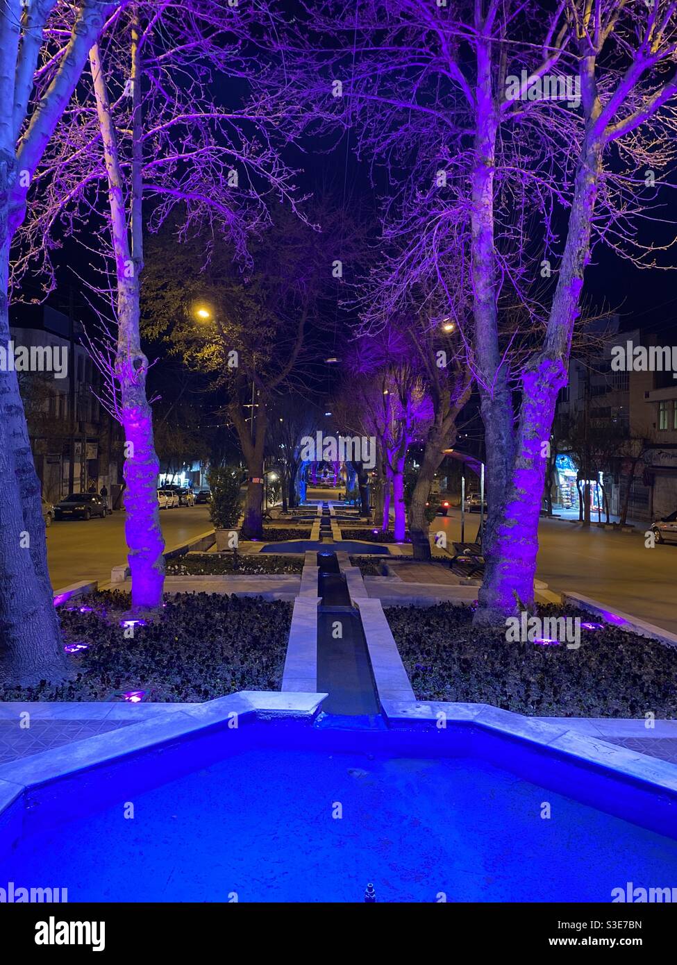 Trees and pool in purple colour at night Stock Photo - Alamy