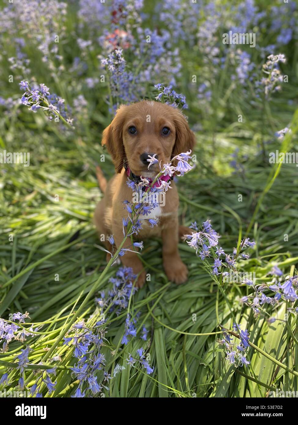 At one with nature hi-res stock photography and images - Alamy