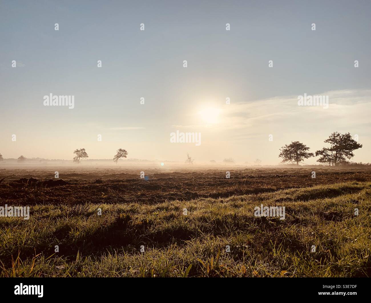 Norfolk countryside hi-res stock photography and images - Alamy