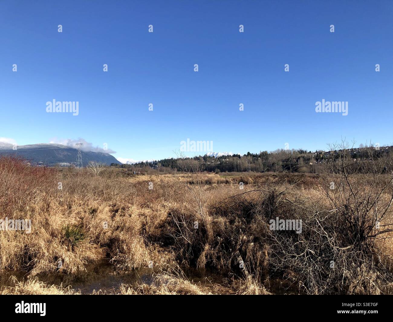 Low vegetation hi-res stock photography and images - Alamy