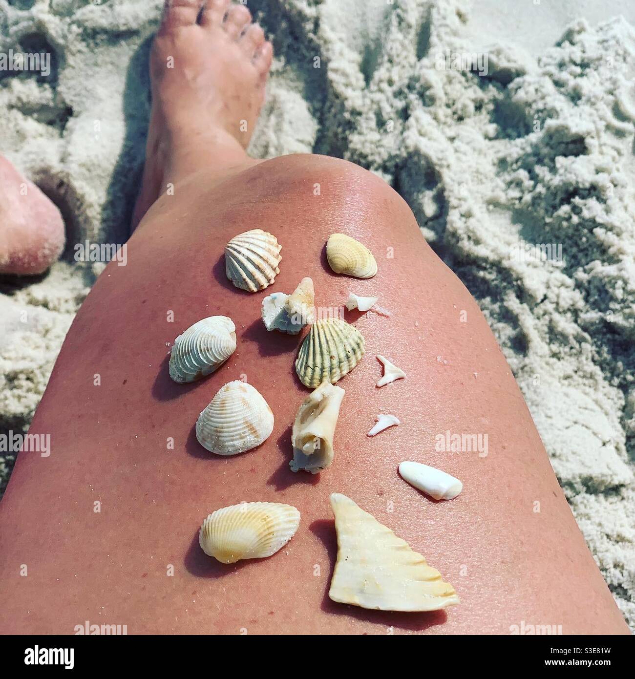 Treasure finds hi-res stock photography and images - Alamy