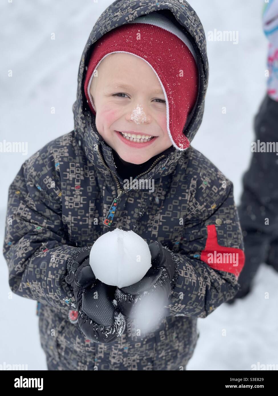 Very cold nose hi-res stock photography and images - Alamy