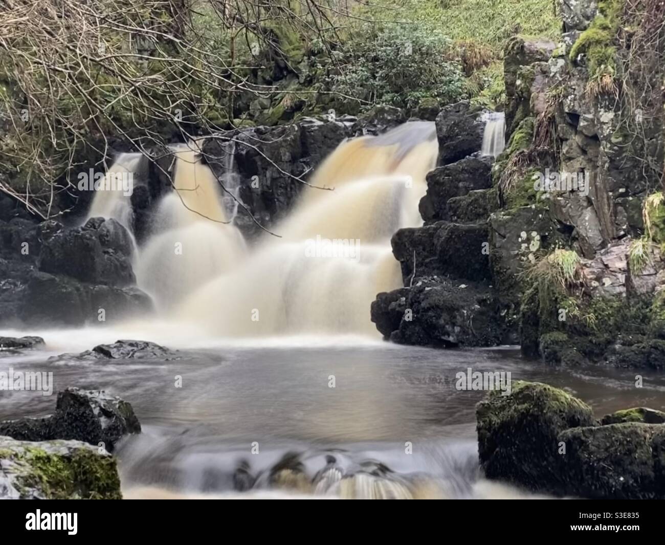 Linhouse hi-res stock photography and images - Alamy