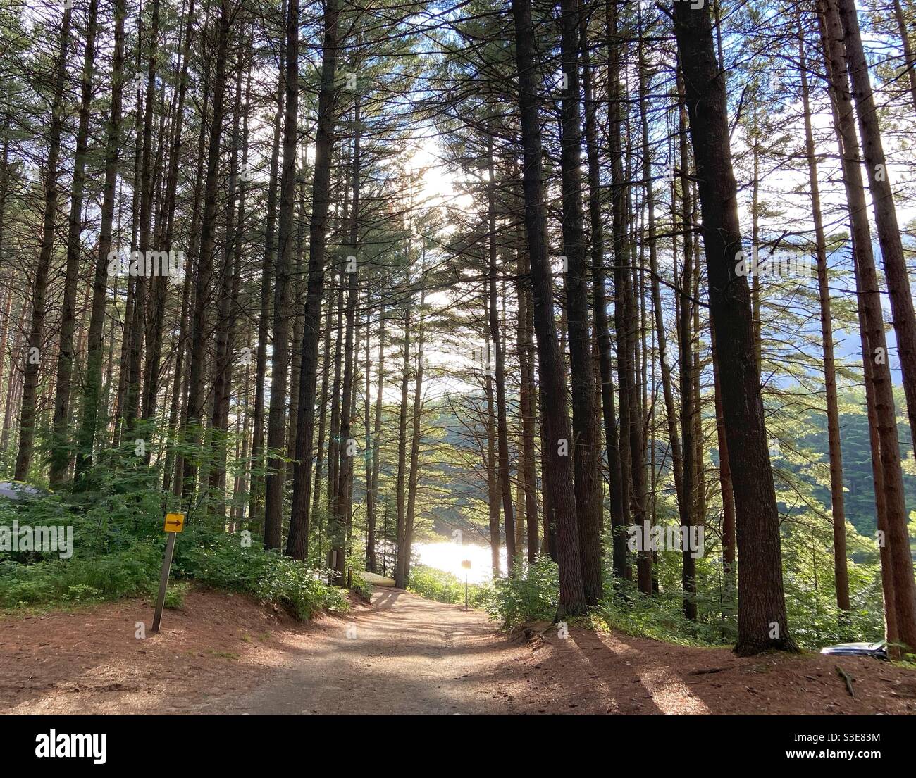 Algonquin Park - Pog Lake Campground Stock Photo - Alamy