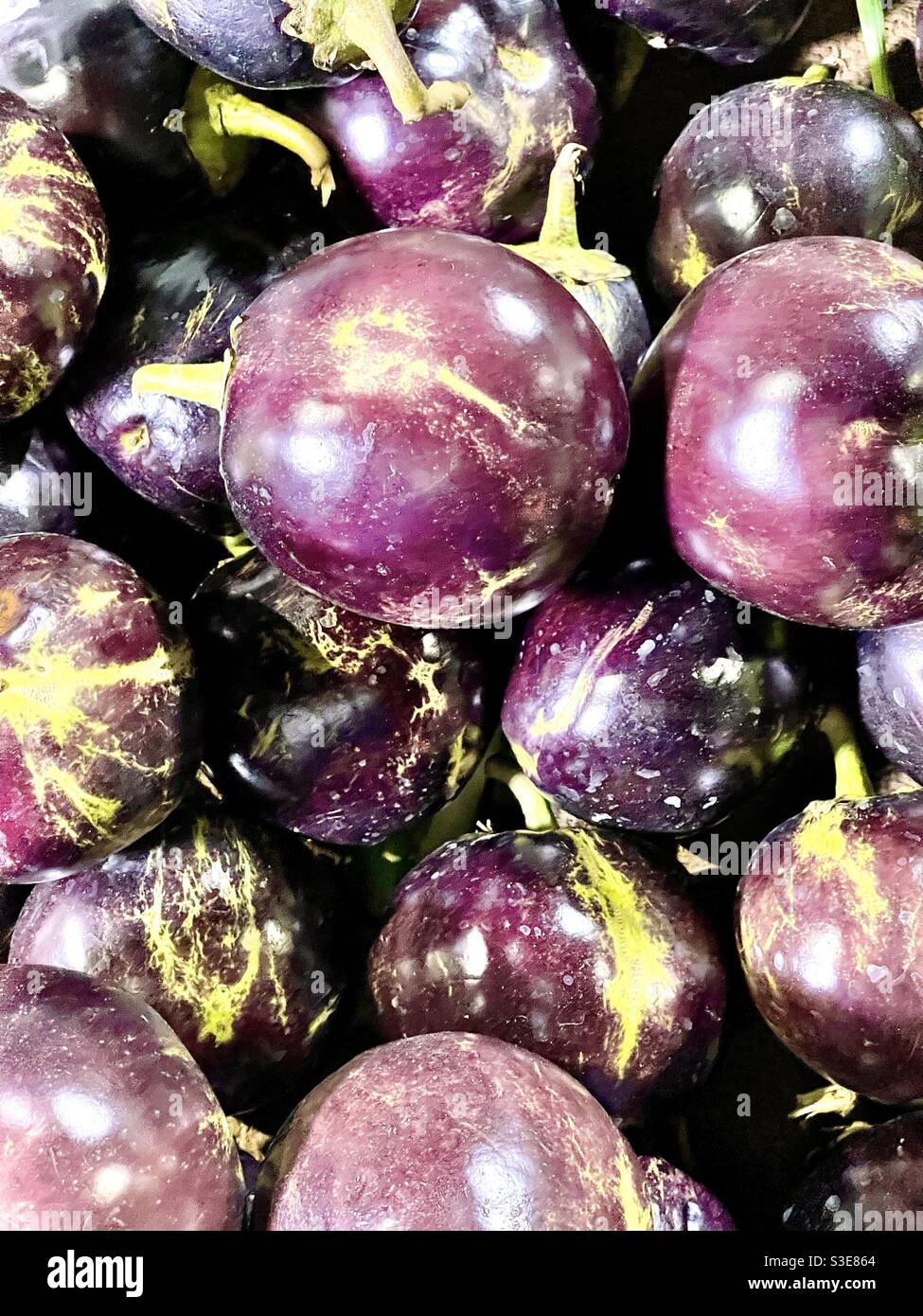 White brinjal hi-res stock photography and images - Alamy