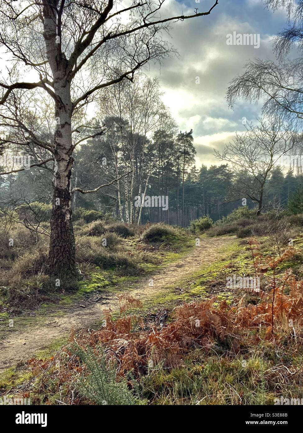 Trails landscape nature hi-res stock photography and images - Alamy