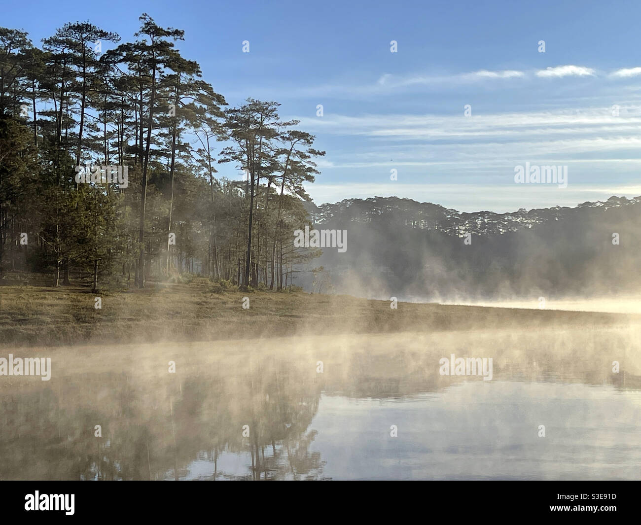 the dew covered the lake surface Stock Photo - Alamy
