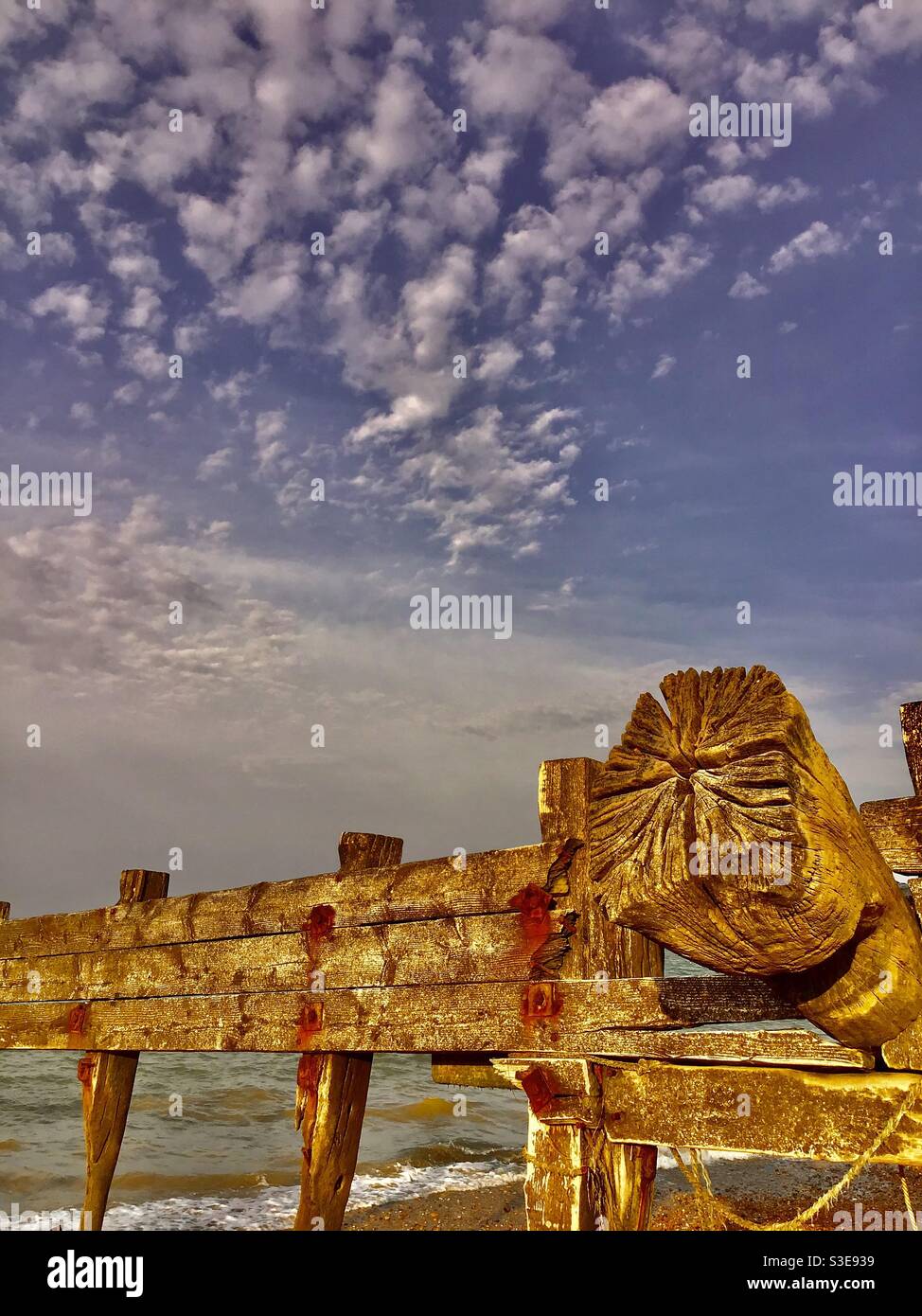 Tree log hi-res stock photography and images - Alamy