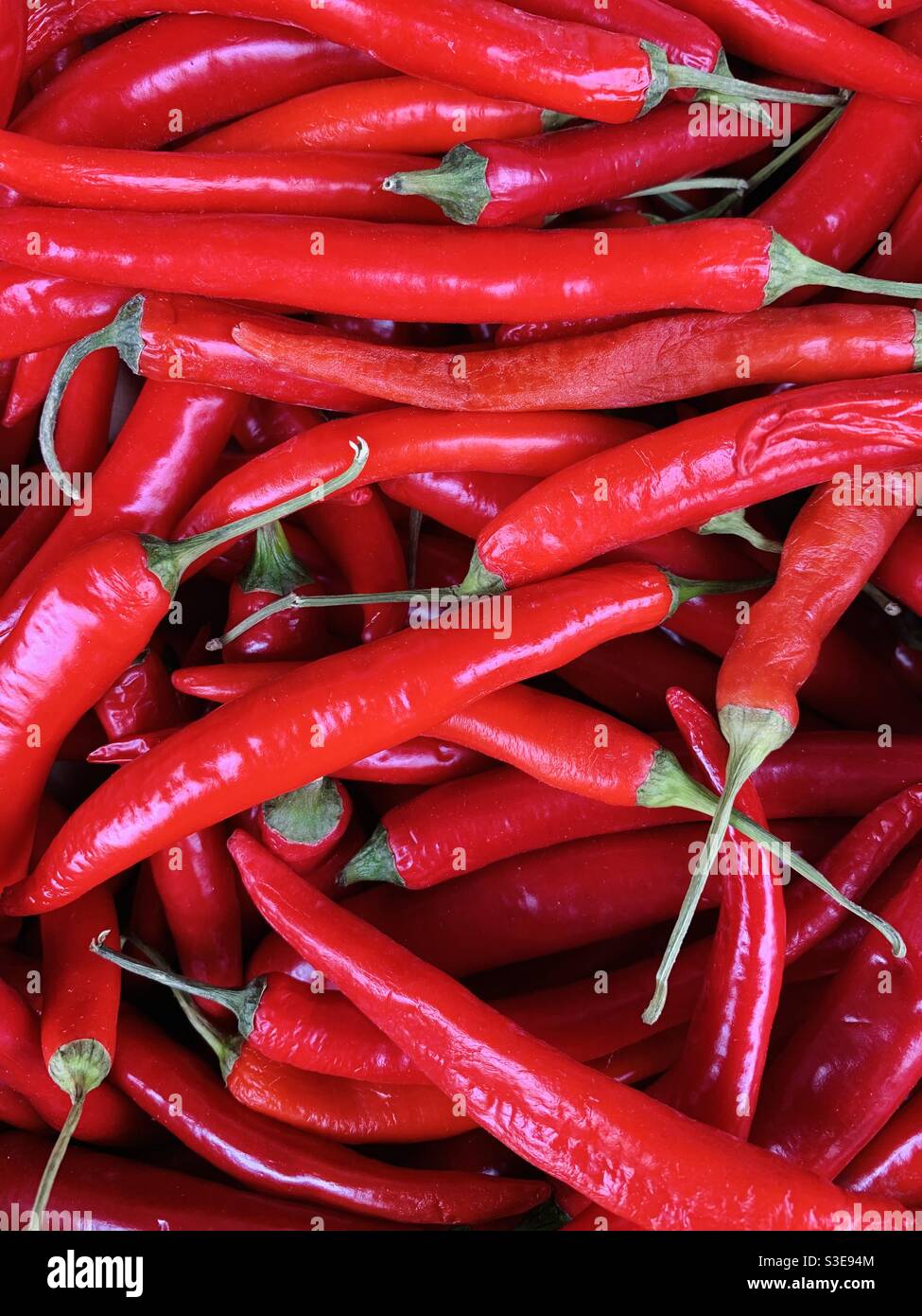 Red Chili Peppers Stock Photo - Alamy