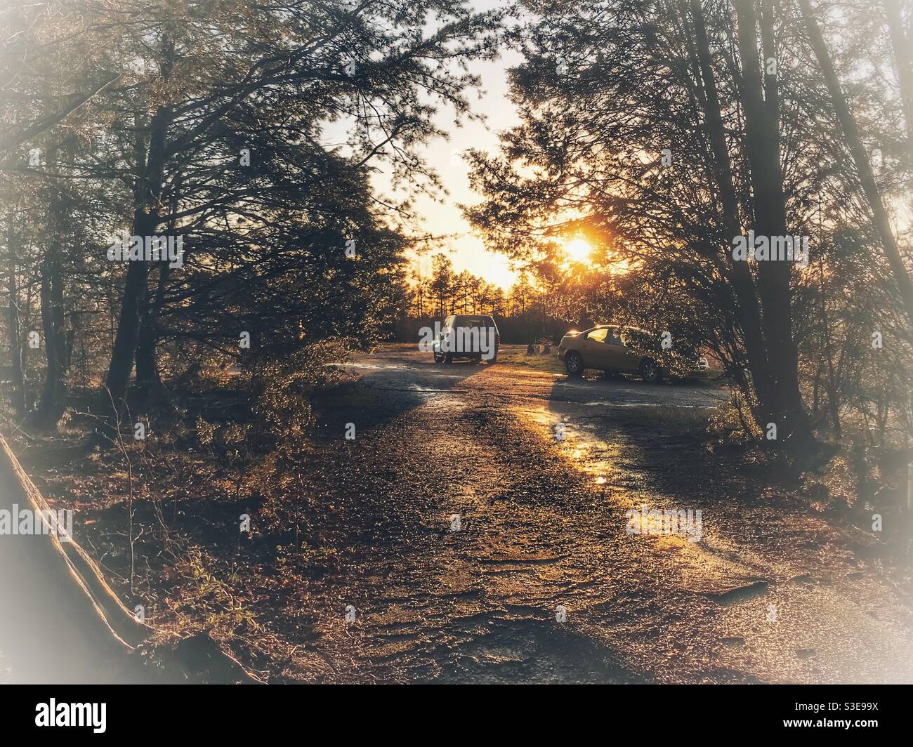 Early spring evening, after the storm, North Carolina Stock Photo - Alamy