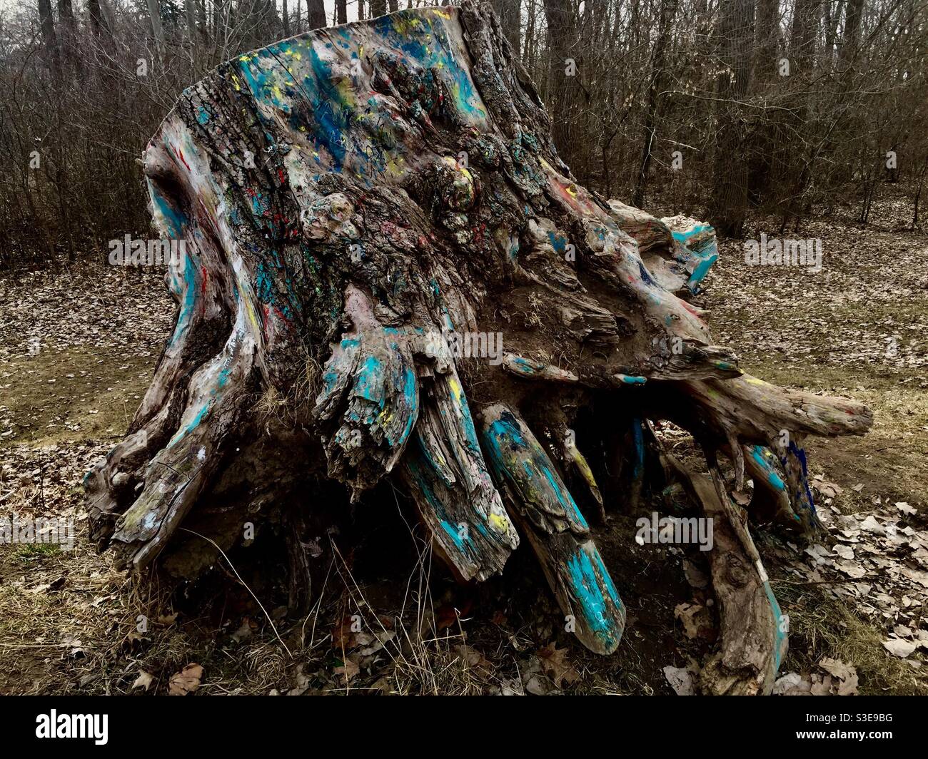 Dead tree, colorful art. Freewheeling public space for local colourists ...