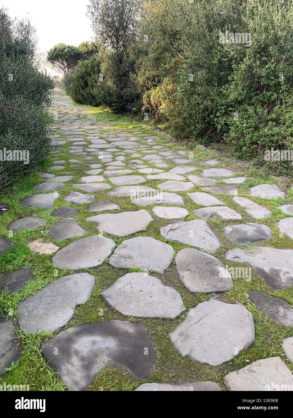 Castel Fusano Rome High Resolution Stock Photography and Images - Alamy
