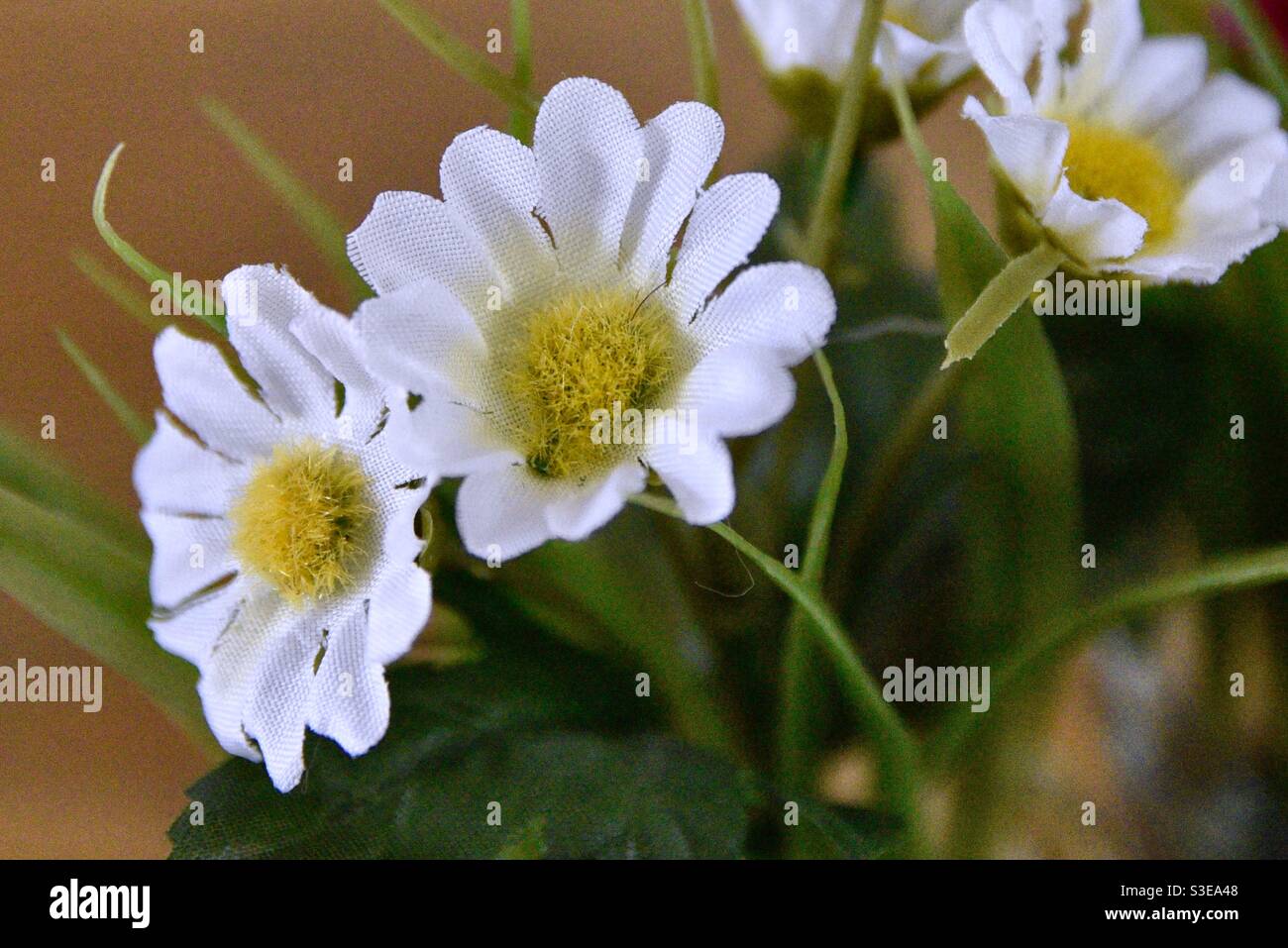 Plastic daisy hi-res stock photography and images - Alamy