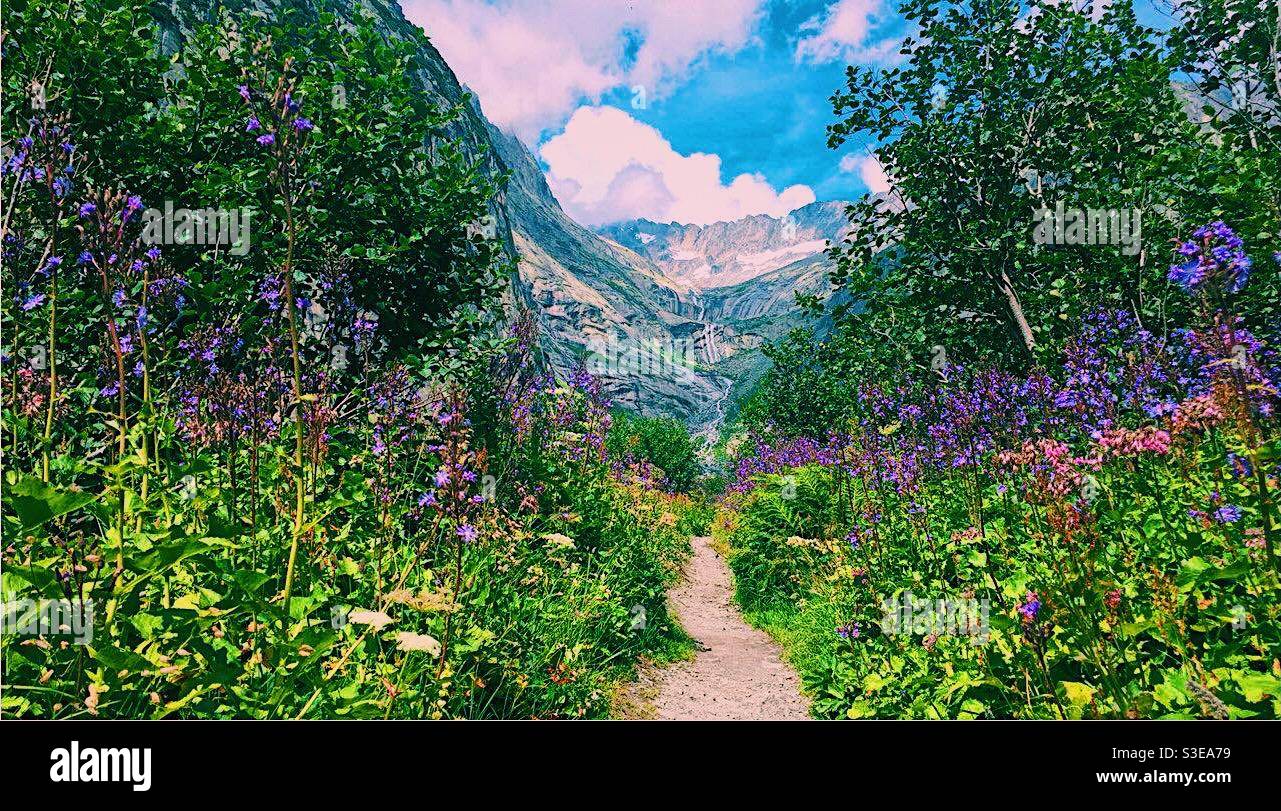 A small path to a waterfall Stock Photo - Alamy