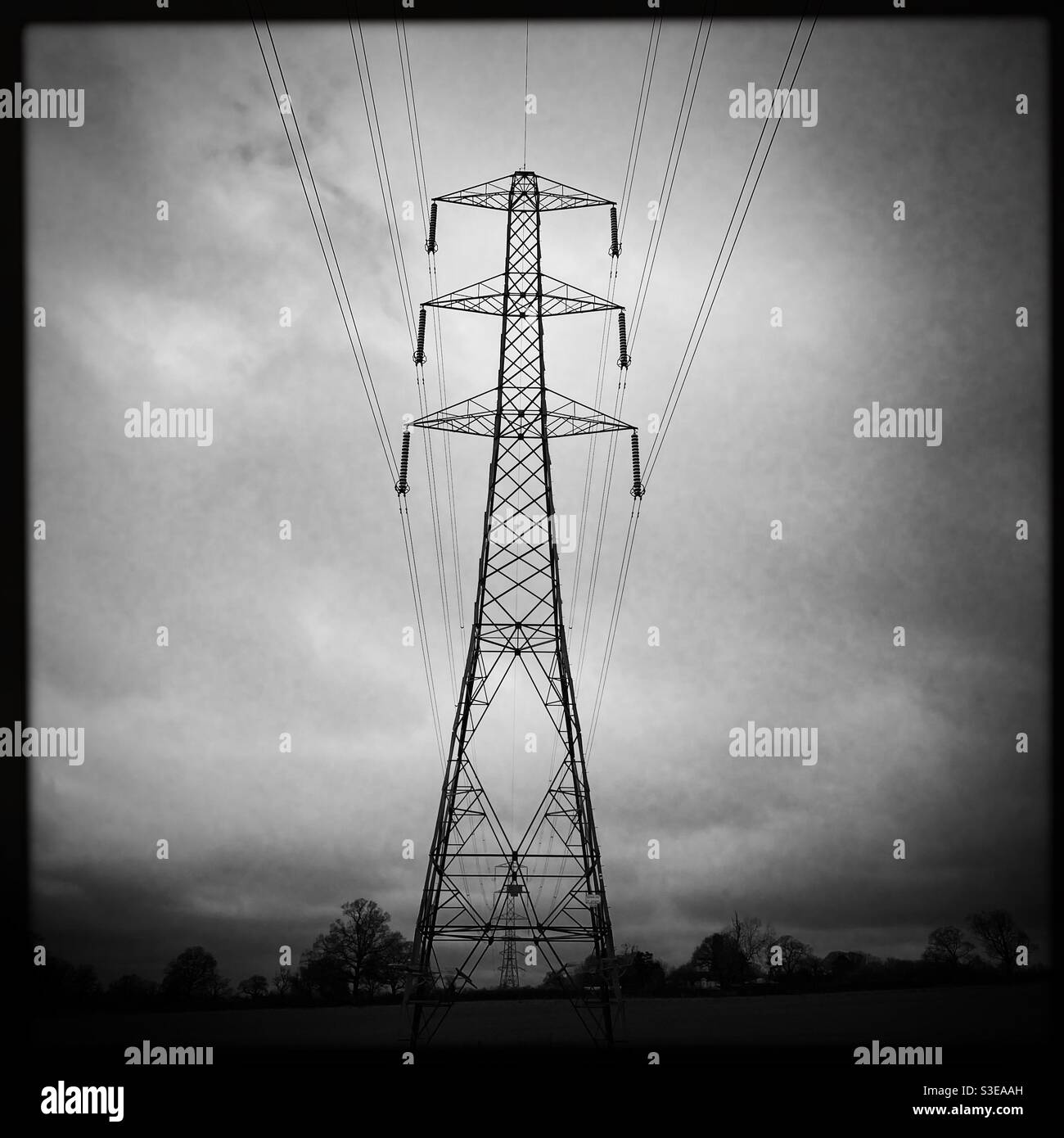 Black and white monochrome image lined up electricity pylons in open ...