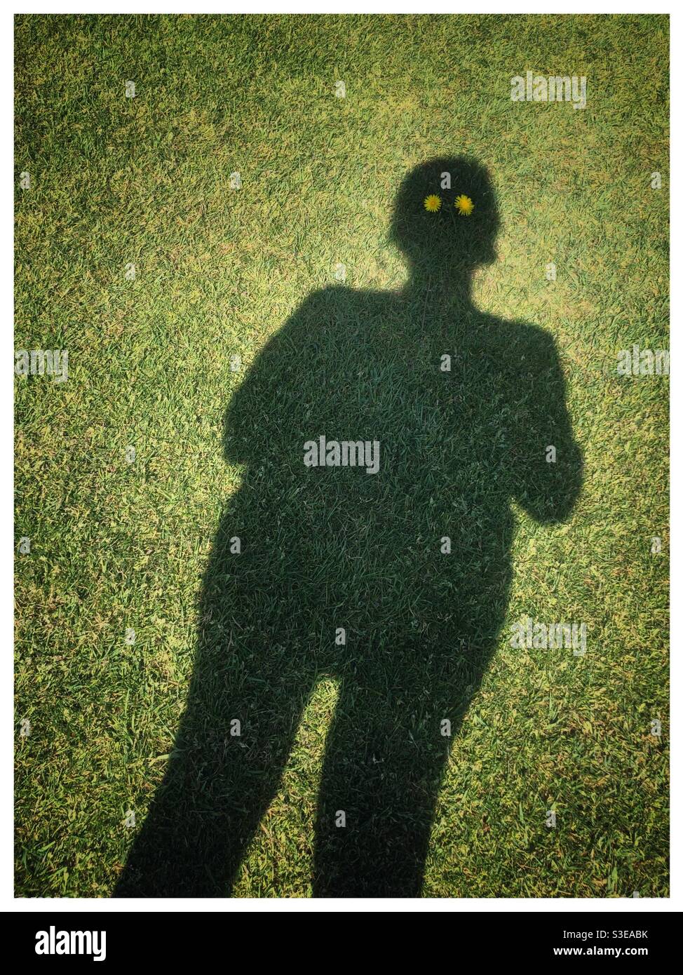 Green grass with shadow hi-res stock photography and images - Alamy