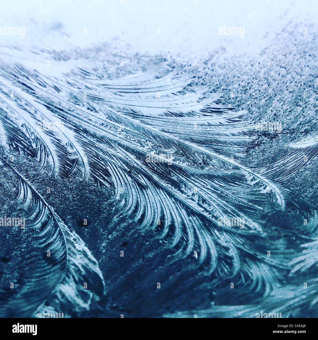 Icepattern hi-res stock photography and images - Alamy