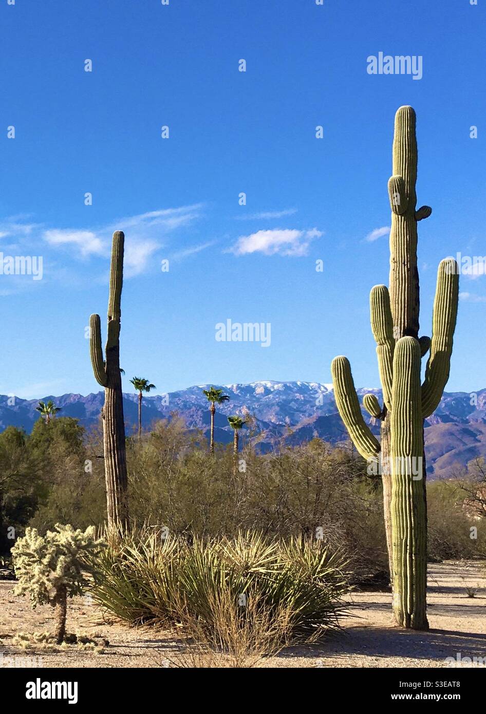 That deser hi-res stock photography and images - Alamy