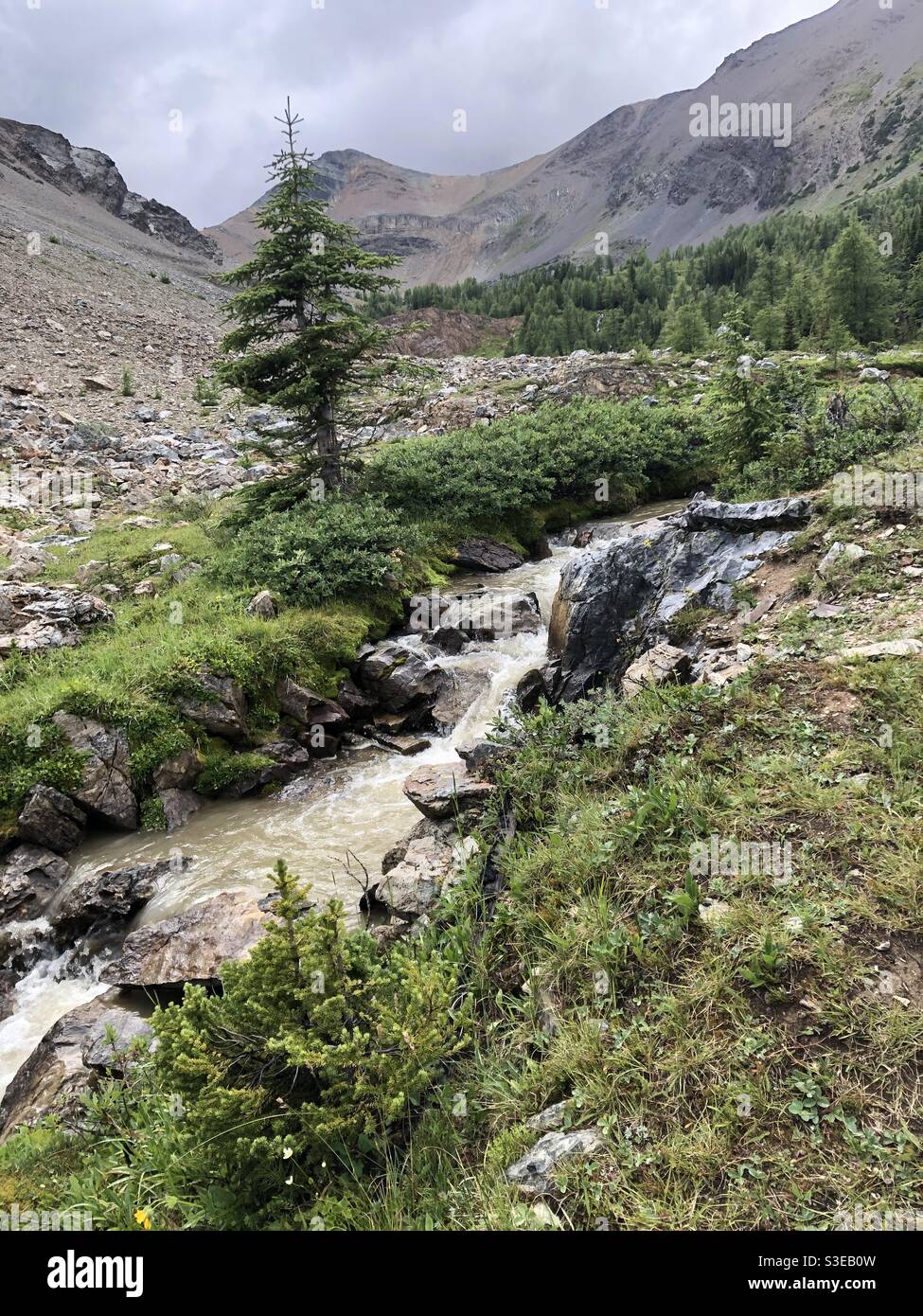Wilderness spring hi-res stock photography and images - Alamy