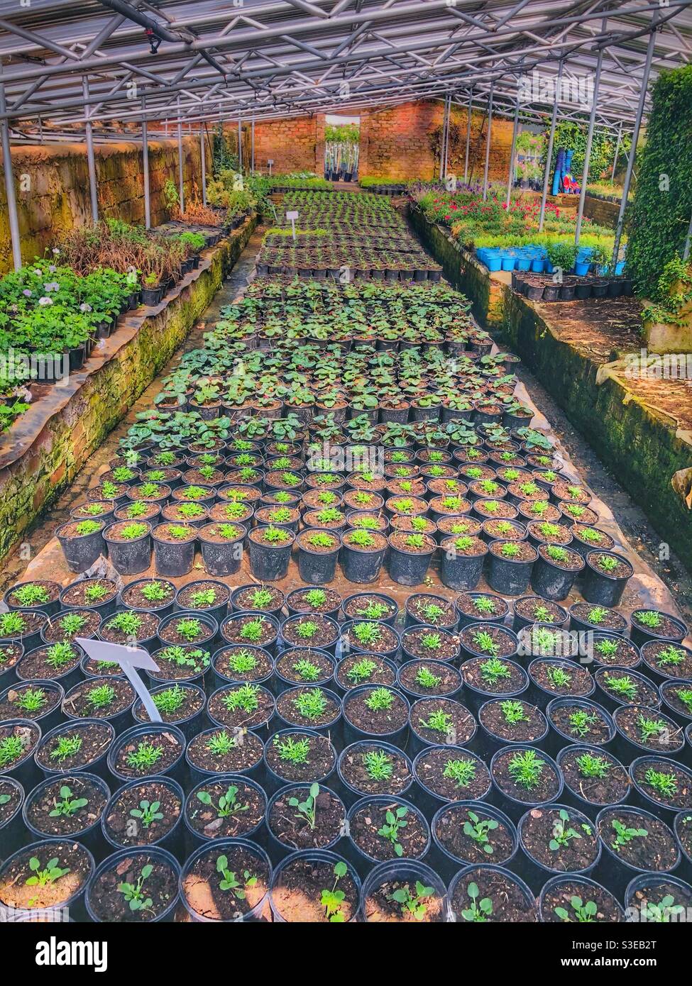 Neat shed hi-res stock photography and images - Alamy