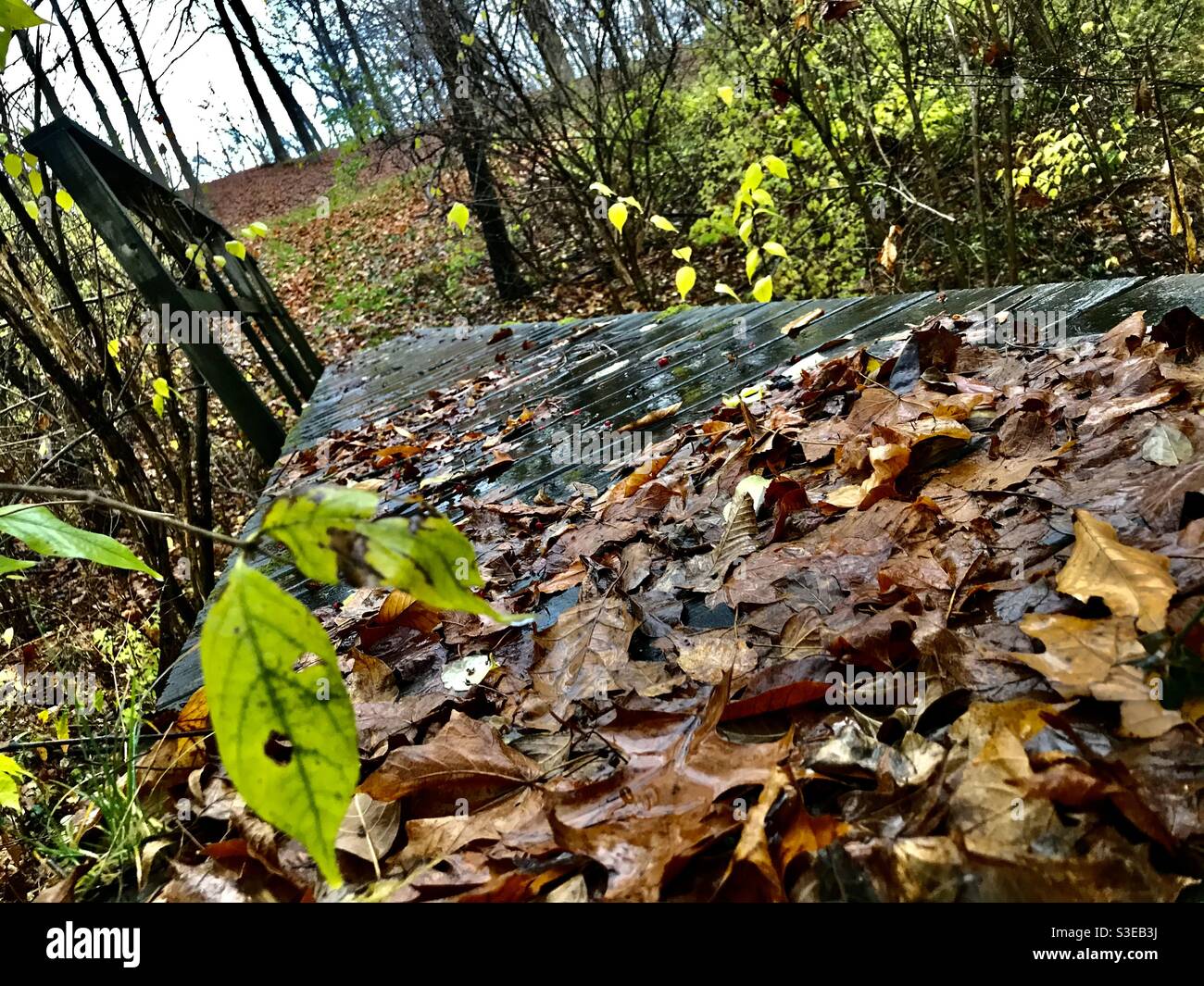 Wetted hi-res stock photography and images - Alamy