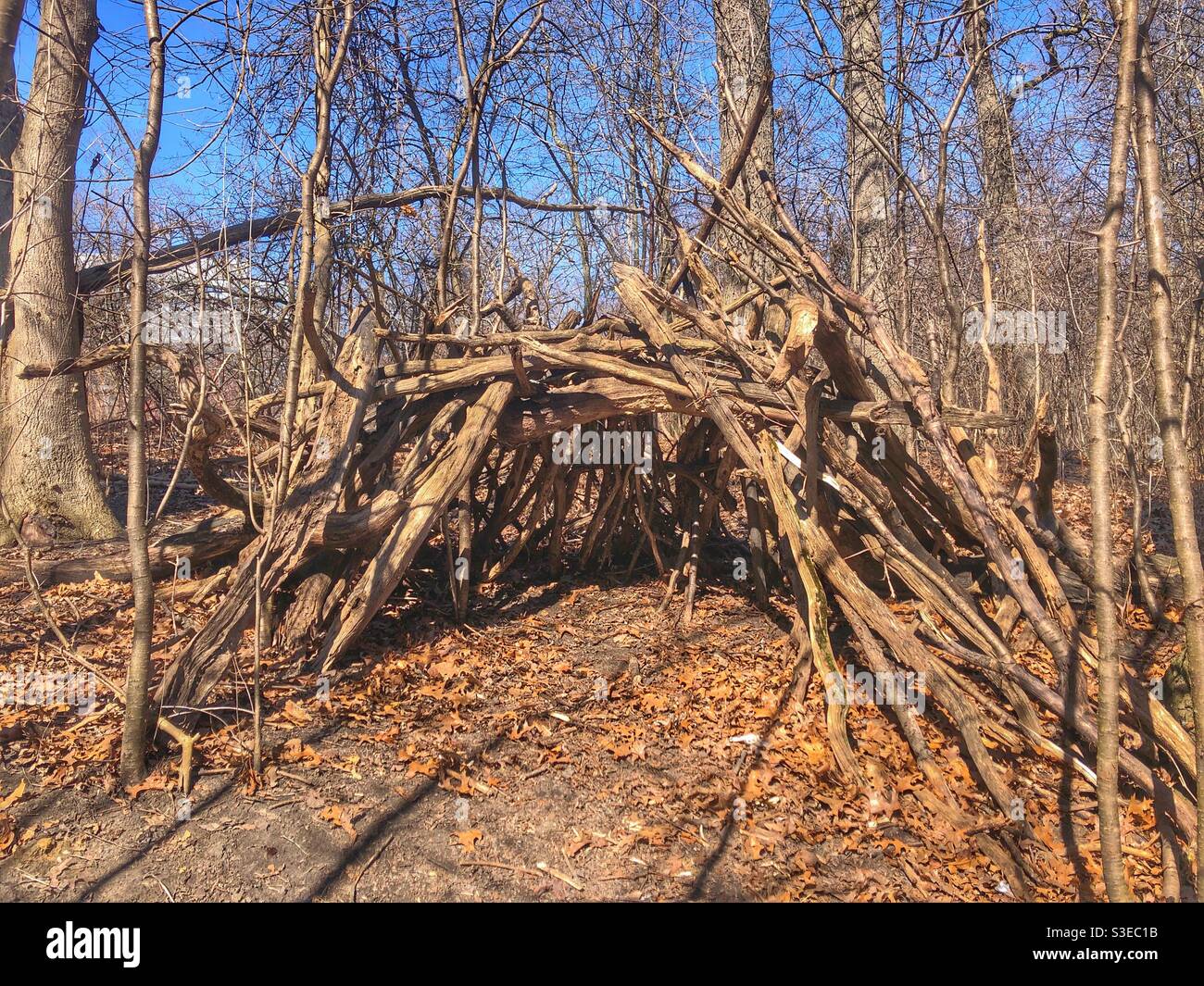Teepee in woods hi-res stock photography and images - Alamy